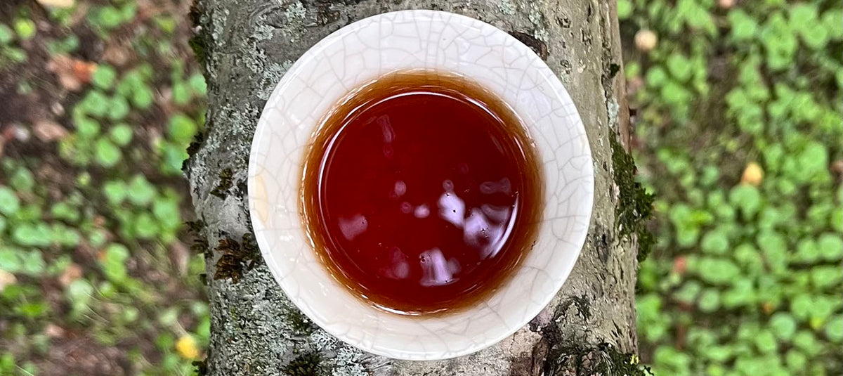 YUKI : TEA TASTING BY ALEX AHEARN – Ikkyu Tea