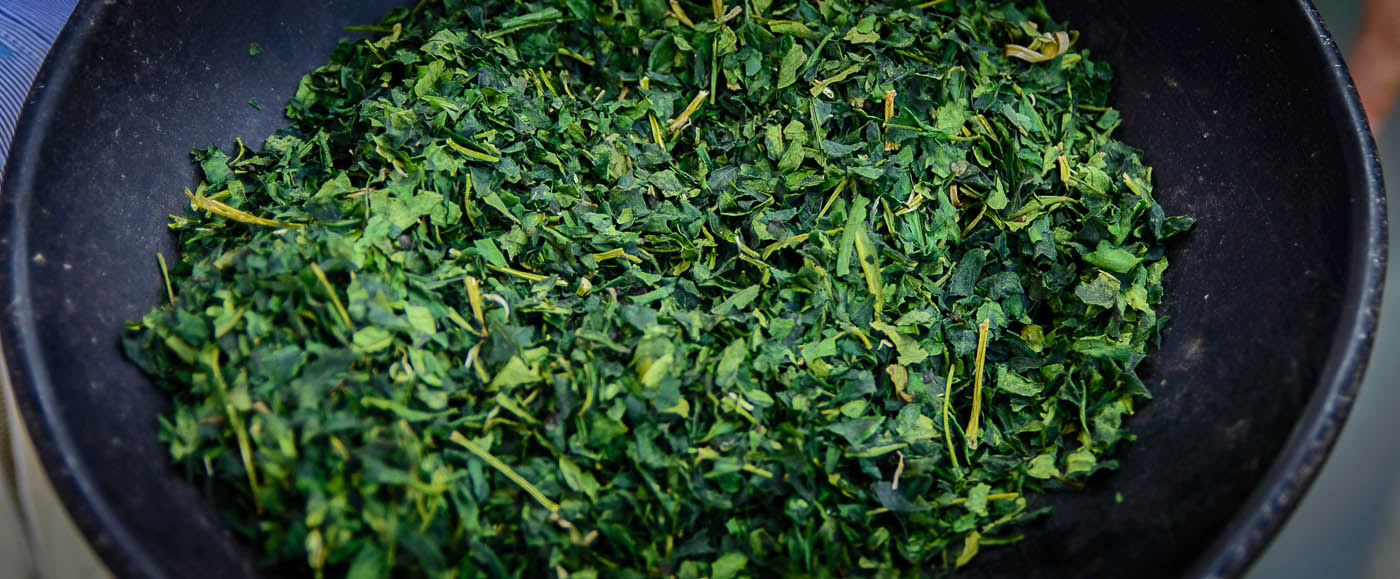 AYAME CEREMONIAL MATCHA: TEA TASTING BY ALEX AHEARN – Ikkyu Tea