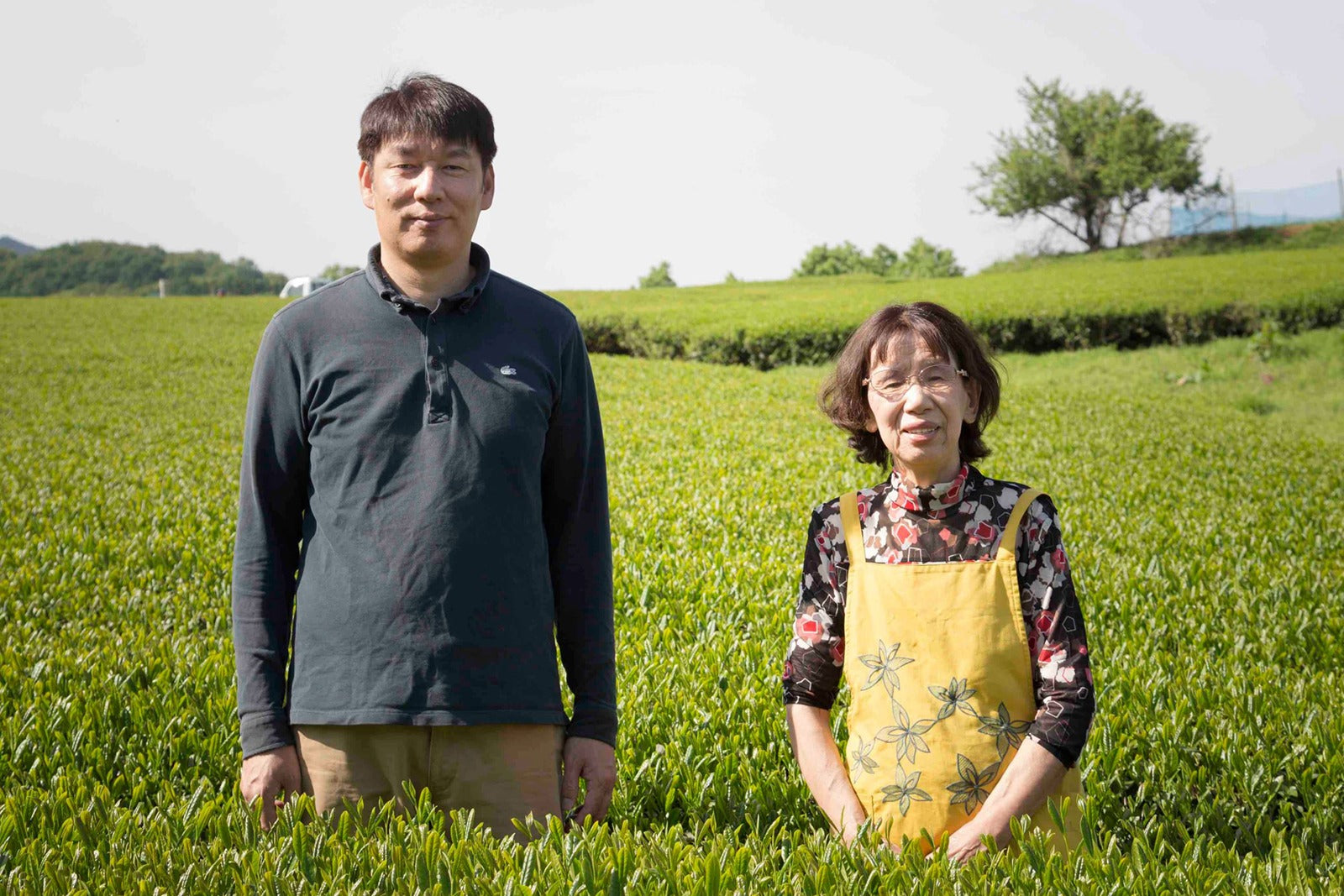 TAKAHASHI YUZO – Ikkyu Tea